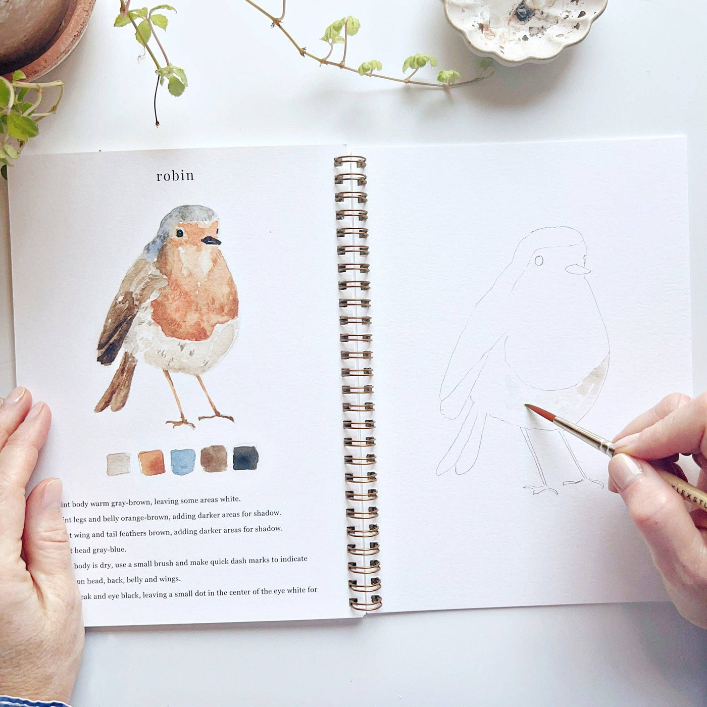 Birds watercolor workbook – Terra Bella