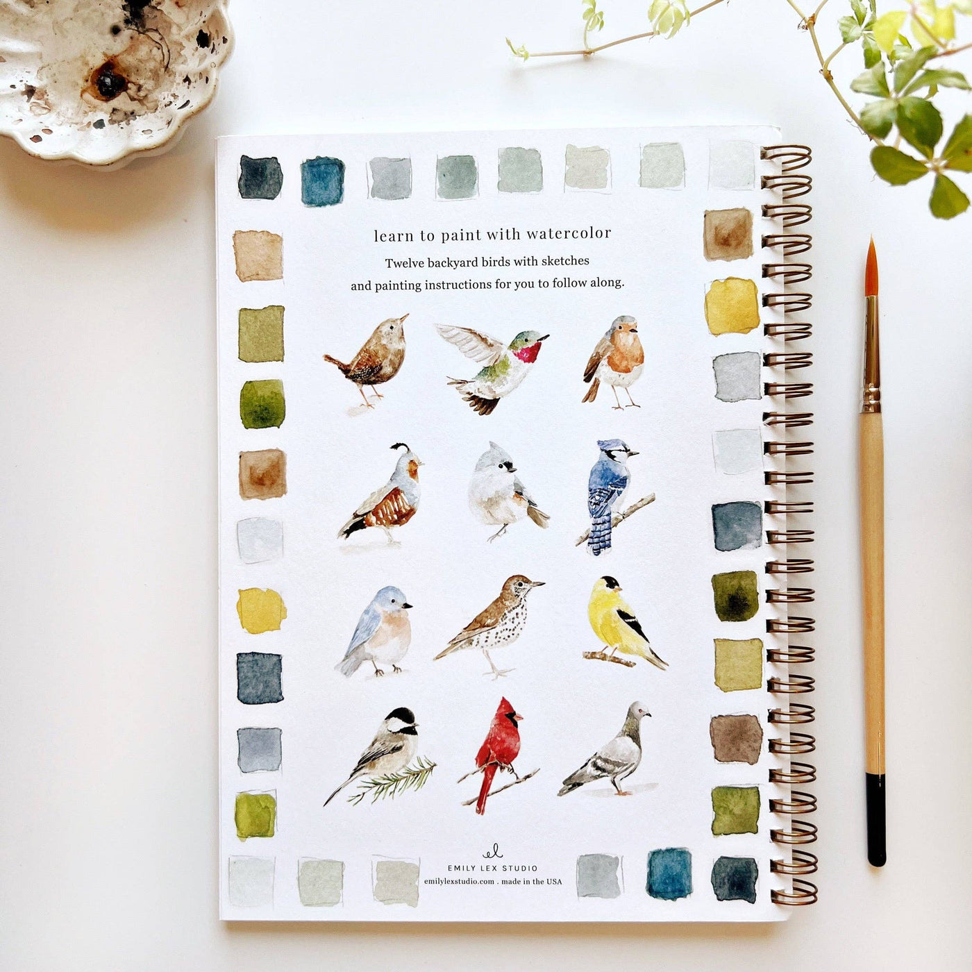 Birds watercolor workbook – Terra Bella